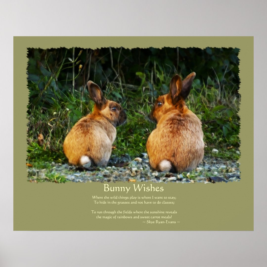 BUNNY RABBIT ART & Poem for Kids Poster | Zazzle