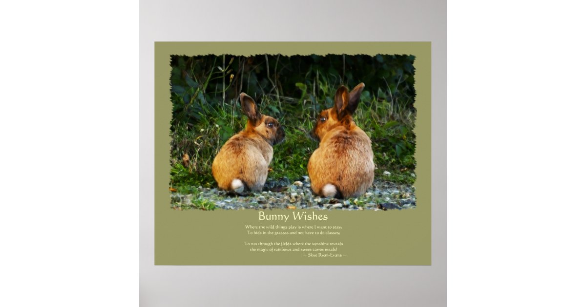 BUNNY RABBIT ART & Poem for Kids Poster | Zazzle