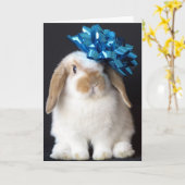 Bunny Rabbit Birthday Greeting Card | Zazzle