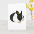 Bunny Rabbit Black & White Card | Zazzle