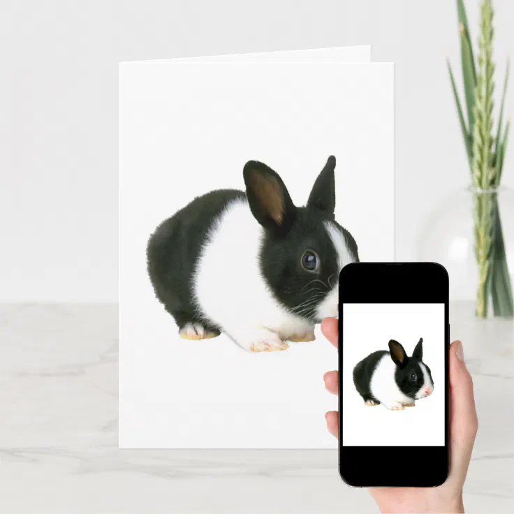 Bunny Rabbit Black & White Card | Zazzle