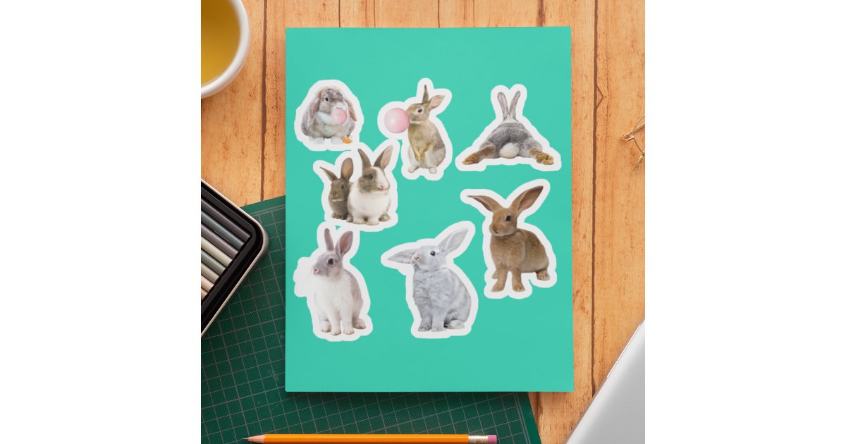 Bunny Rabbit Easter Spring Sticker | Zazzle