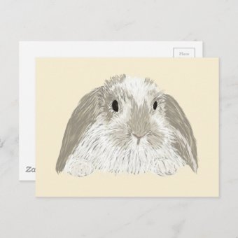 Bunny Rabbit Postcard | Zazzle
