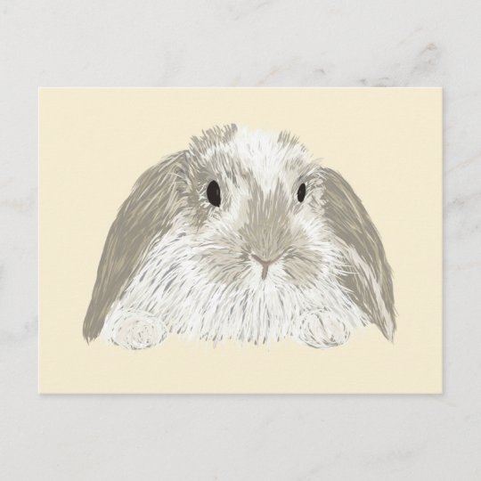 Bunny Rabbit Postcard | Zazzle.com