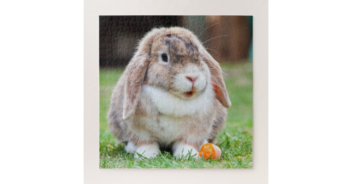 Bunny Rabbit Puzzle | Zazzle