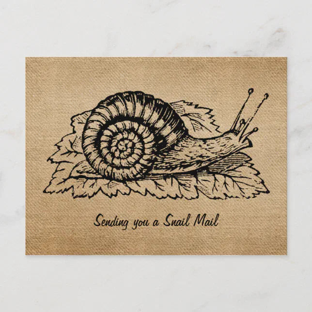 Burlap Vintage Sending Snail Mail Postcard | Zazzle