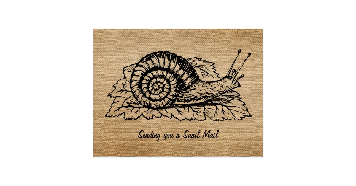 Burlap Vintage Sending Snail Mail Postcard | Zazzle.com
