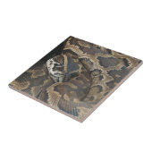 Burmese Python Ceramic Tile | Zazzle