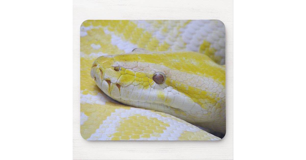 Burmese python mouse pad | Zazzle