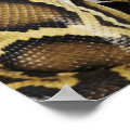 Burmese python poster | Zazzle