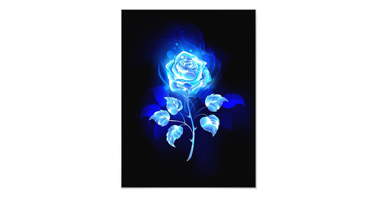 Burning Blue Rose Photo Print | Zazzle