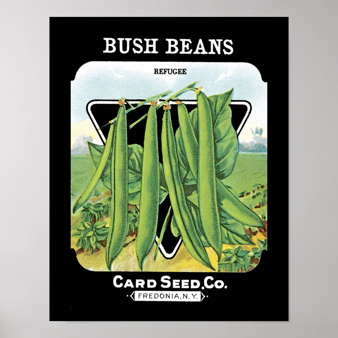 Bush Beans Seed Packet Label Poster | Zazzle