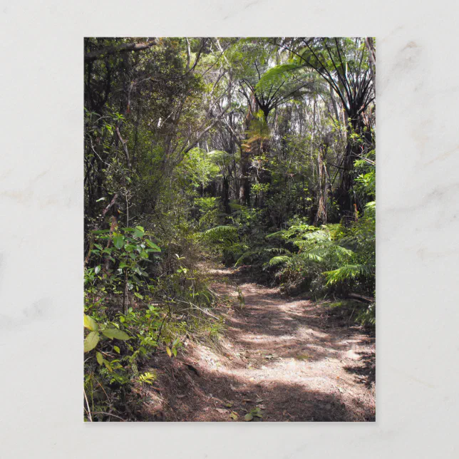 Bushwalking in New Zealand Postcard | Zazzle