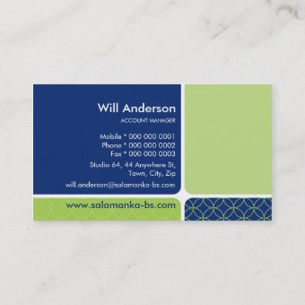 BUSINESS CARD bold modern segment | Zazzle