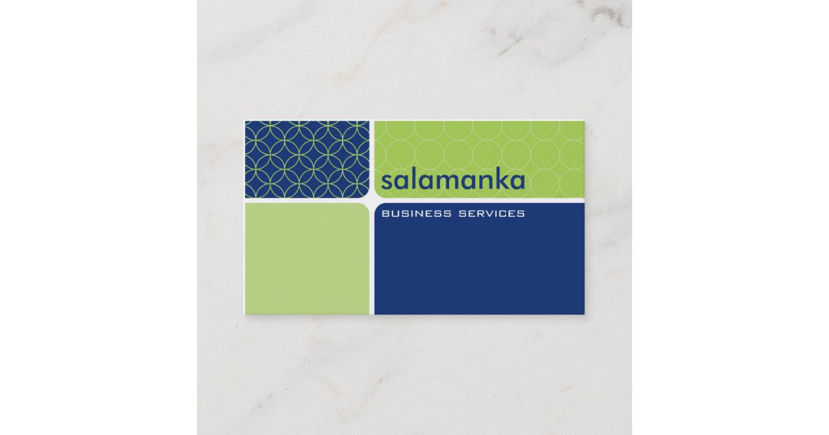 BUSINESS CARD bold modern segment | Zazzle