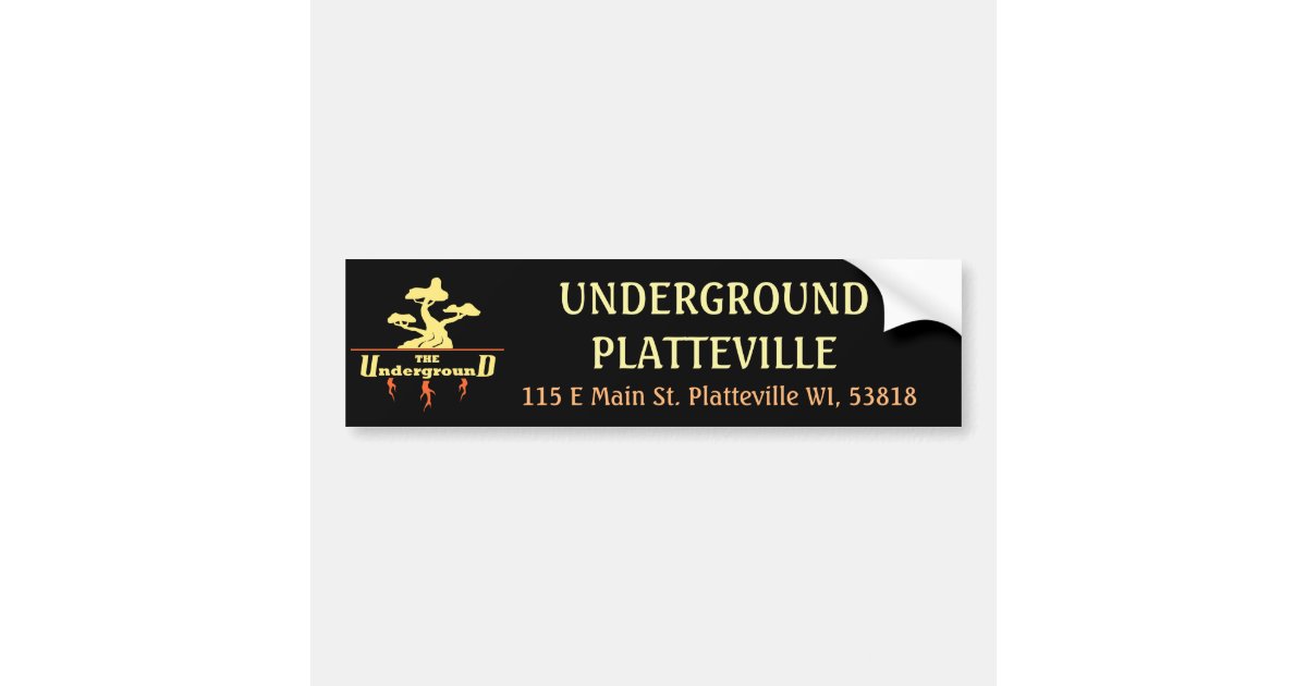 Business Logo and Address Bumper Sticker | Zazzle