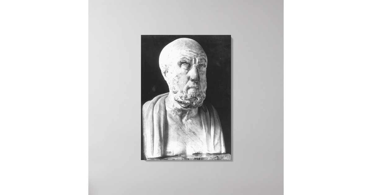 Bust of Hippocrates Canvas Print | Zazzle
