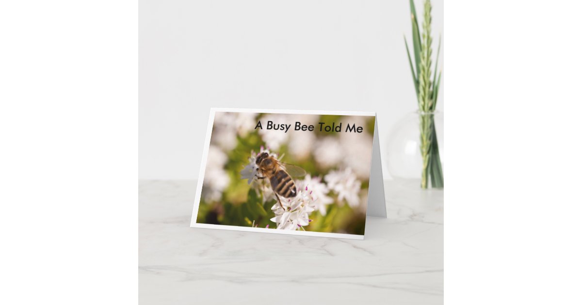 Busy Bee Birthday Card | Zazzle