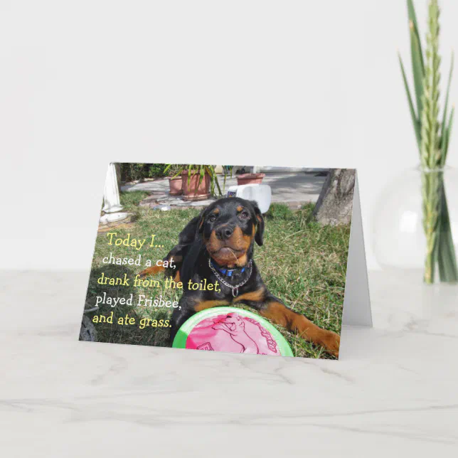 Busy Rottweiler Puppy Anniversary Card | Zazzle