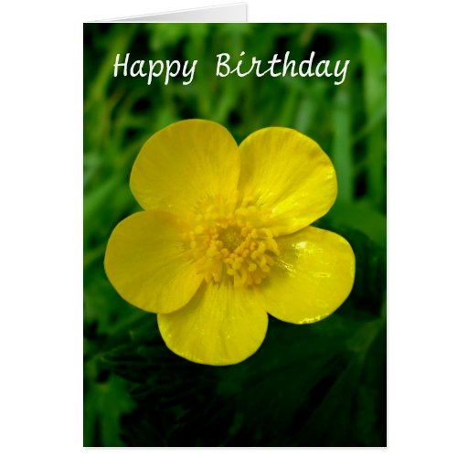 Happy birthday, Buttercup!