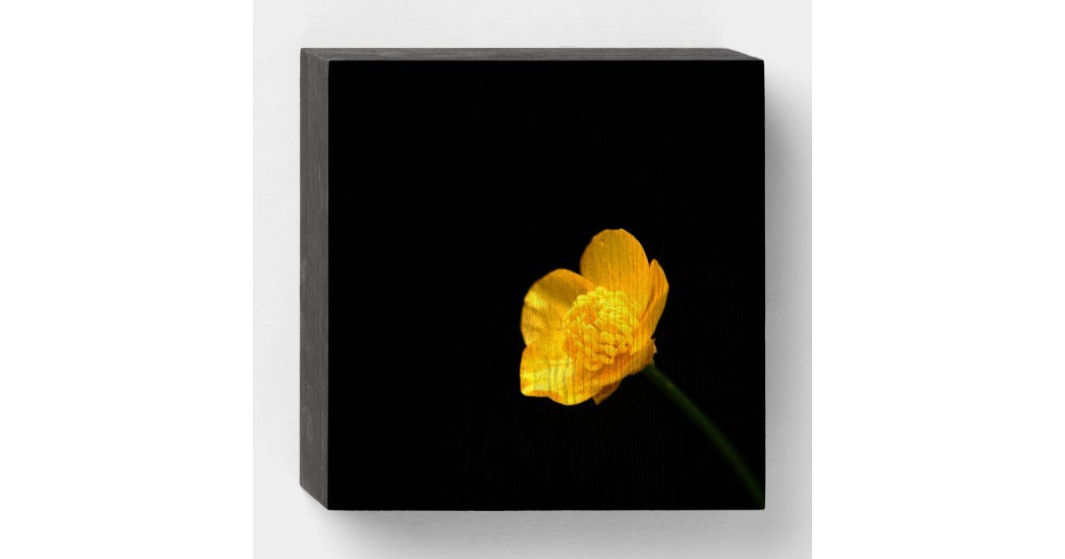 Buttercup Flower wbs6x6cna Wooden Box Sign | Zazzle
