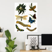 Butterflies Beetle Bugs Insects Collage Art Poster | Zazzle