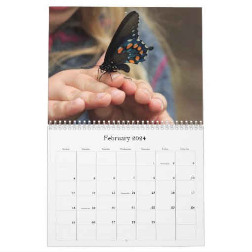 Butterflies Calendar | Zazzle