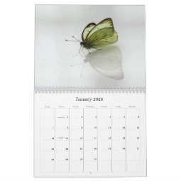 Butterflies Calendar | Zazzle