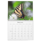 Butterflies Calendar | Zazzle