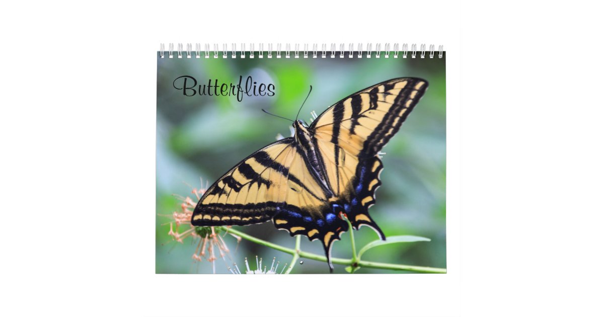 Butterflies Calendar | Zazzle