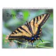 Butterflies Calendar | Zazzle