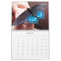 Butterflies Calendar | Zazzle