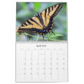 Butterflies Calendar | Zazzle