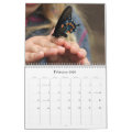Butterflies Calendar | Zazzle