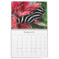 Butterflies Calendar | Zazzle