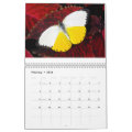 Butterflies of the World 2020 calendar | Zazzle