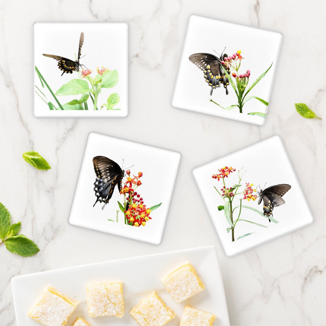 Butterflies on Florals Coaster Set | Zazzle