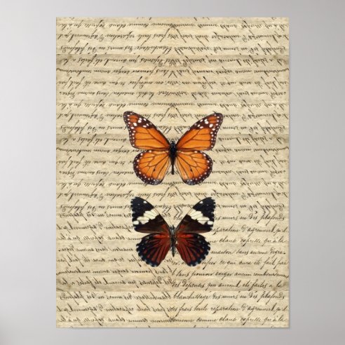 Butterfly Posters & Prints | Zazzle