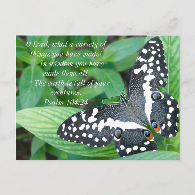 Butterfly and Bible Verse Postcard | Zazzle