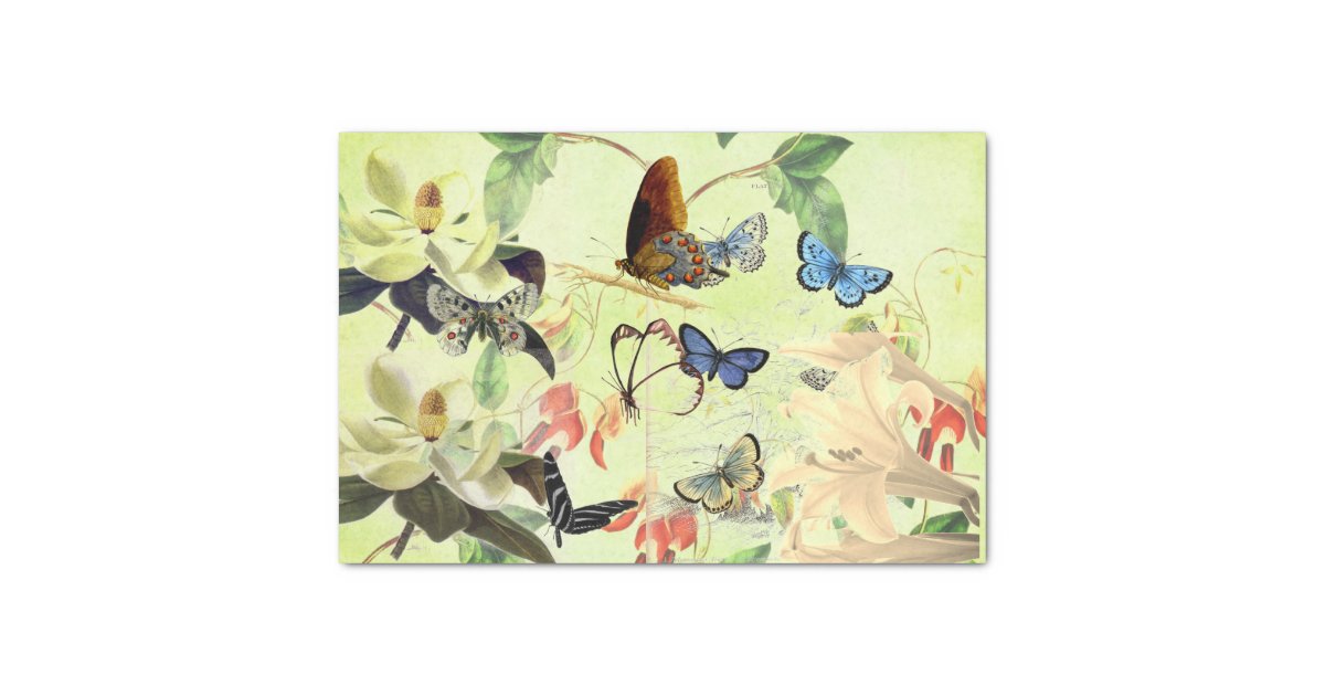 BUTTERFLY AND MAGNOLIA TISSUE PAPER | Zazzle