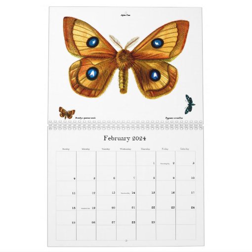 Butterfly and Moth Lithographs Calendar | Zazzle