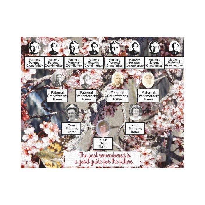 Butterfly Blossoms Photo Family Tree Canvas Art | Zazzle.com