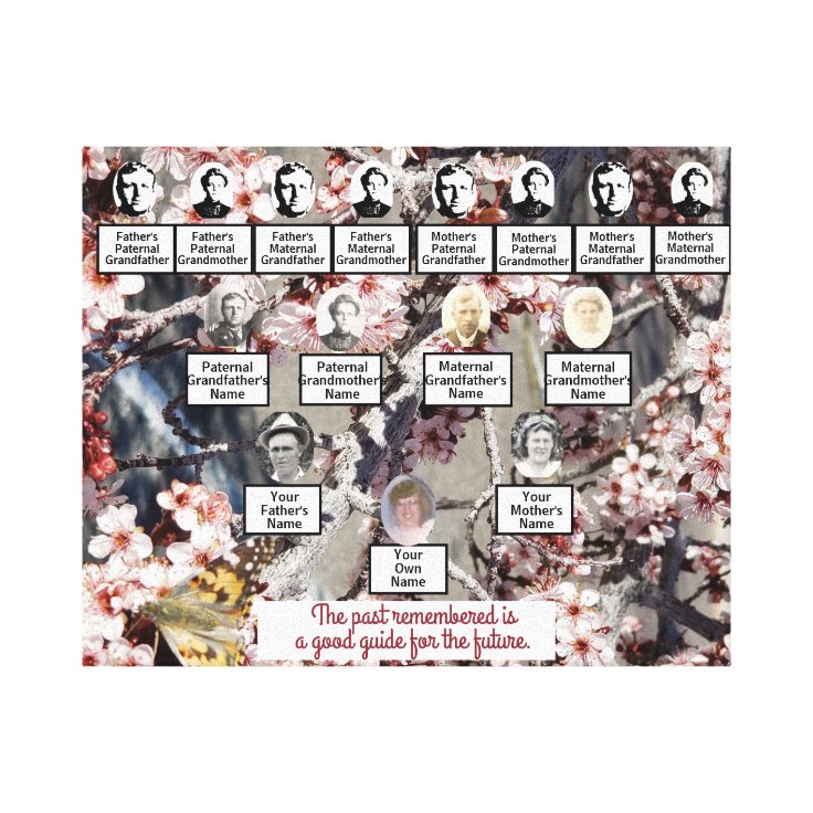 Butterfly Blossoms Photo Family Tree Canvas Art | Zazzle