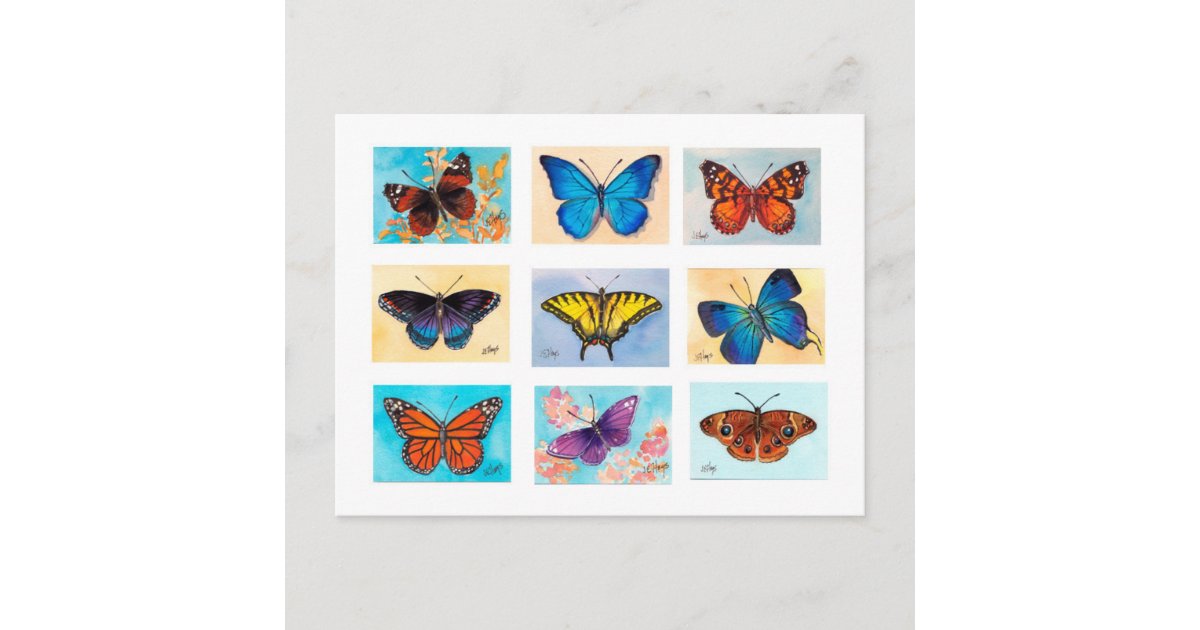 Butterfly Bonanza Postcard | Zazzle