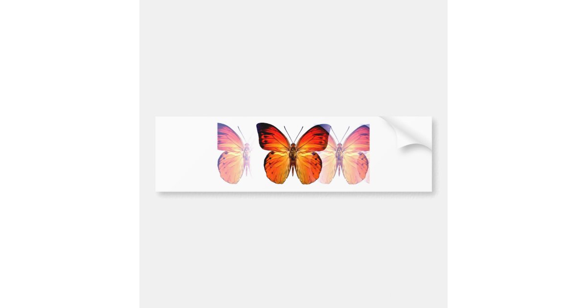Butterfly Bumper Sticker | Zazzle