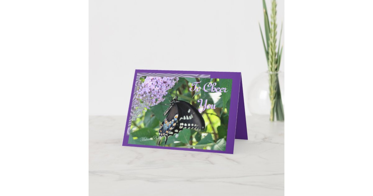 Butterfly Cheer-customize Card | Zazzle