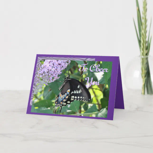 Butterfly Cheer-customize Card | Zazzle