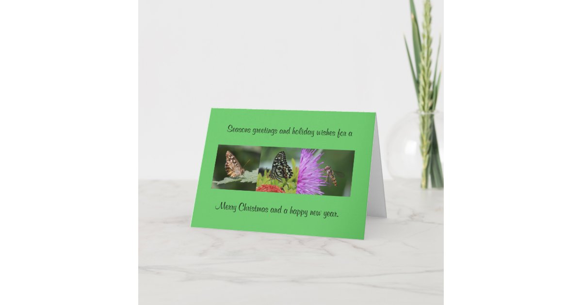 Butterfly Christmas Card | Zazzle