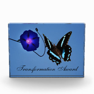 Butterfly Awards & Certificates | Zazzle