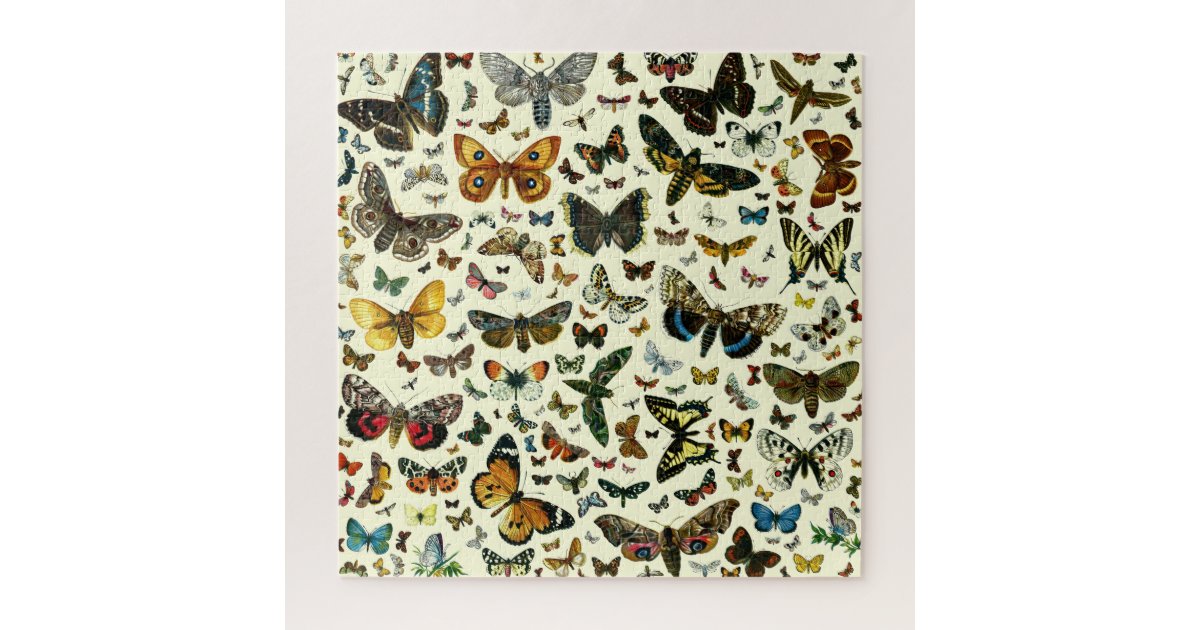 Butterfly Collage - scores of butterflies & moths Jigsaw Puzzle | Zazzle